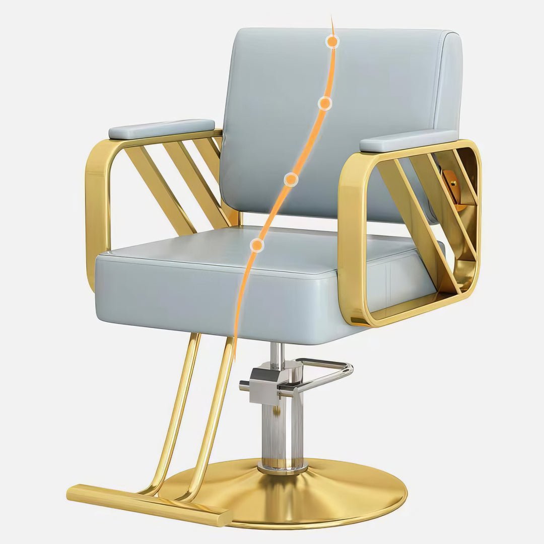 Modern All Purpose Hydraulic Styling Chair - 022 - Greenlife - CA$199. ...